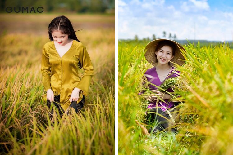 Chụp ảnh cánh đồng lúa mặc gì để MỘC MẠC và trong trẻo